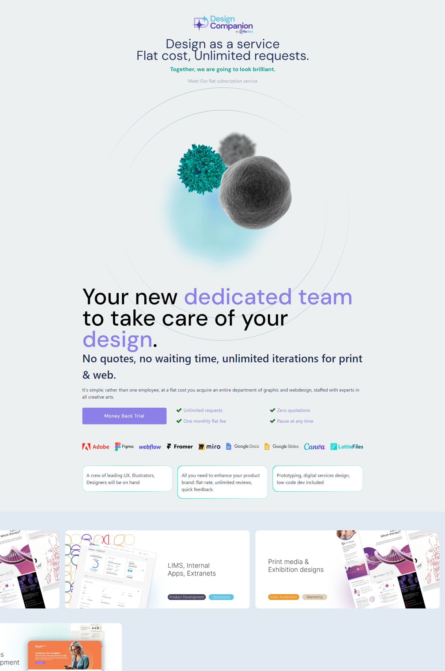 Professional Website Development Service | TeleportHQ
