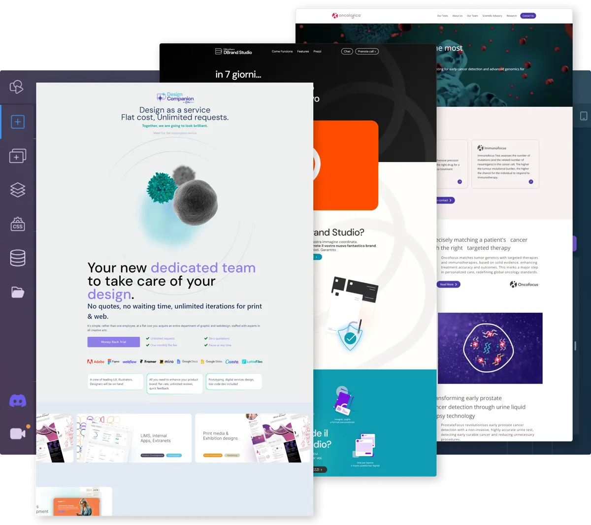 Professional Website Development Service | TeleportHQ