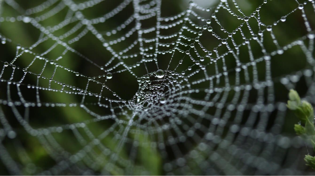 Creating a Web Scraping Pipeline